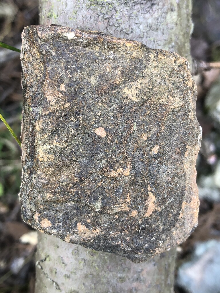 Alte römische Scherben oder Sandstein? - Funde / Objekte - Archäologie ...